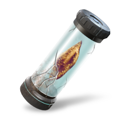 Star Rupture Database | MetaForge